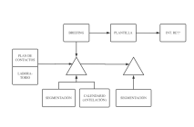 Erreur et Interruption 流程图模板_ProcessOn思维导图、流程图