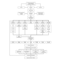 Direct Marketing Flow Chart 流程图模板_ProcessOn思维导图、流程图