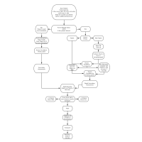 Burn Protocol Flow Chart 流程图模板_ProcessOn思维导图、流程图