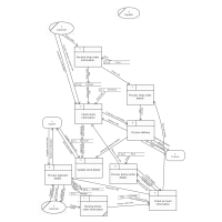 DFD LEVEL1 流程图模板_ProcessOn思维导图、流程图
