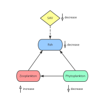 cascade effects 流程图模板_ProcessOn思维导图、流程图