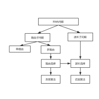 RWA 流程图模板_ProcessOn思维导图、流程图