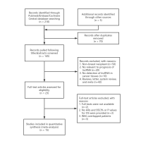 PRISMA流程图 流程图模板_ProcessOn思维导图、流程图