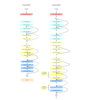 resnet-18&resnet-34网络模型图 流程图模板_ProcessOn思维导图、流程图