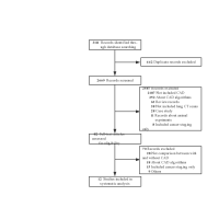 meta analysis flow chart 流程图模板_ProcessOn思维导图、流程图