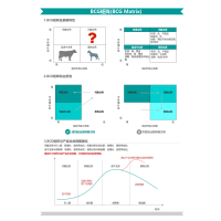 BCG矩阵 流程图模板_ProcessOn思维导图、流程图