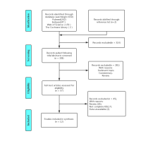 Deplon - PRISMA 2020 流程图模板_ProcessOn思维导图、流程图