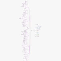 ARIMA建模流程图 流程图模板_ProcessOn思维导图、流程图
