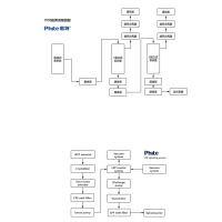 LSP process 流程图模板_ProcessOn思维导图、流程图