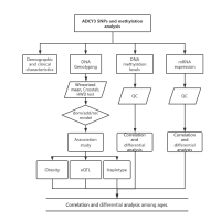 ADCY3数据分析路线 流程图模板_ProcessOn思维导图、流程图
