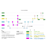 gitlab分支管理流程（基于cherry pick） 流程图模板_ProcessOn思维导图、流程图