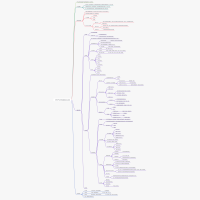 NPDP产品开发战略知识点总结 思维导图模板_ProcessOn思维导图、流程图