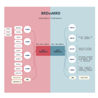 BRD与MRD文档内容 流程图模板_ProcessOn思维导图、流程图