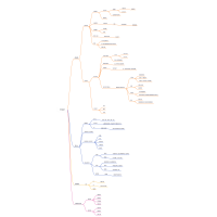 女神节H5分享流程 流程图模板_ProcessOn思维导图、流程图