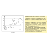 BCG三四规则矩阵 流程图模板_ProcessOn思维导图、流程图