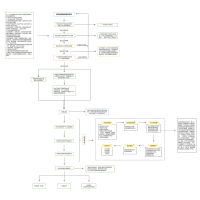 IIT研究 流程图模板_ProcessOn思维导图、流程图