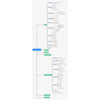产品经理（NPDP）认证知识体系指南 思维导图模板_ProcessOn思维导图、流程图